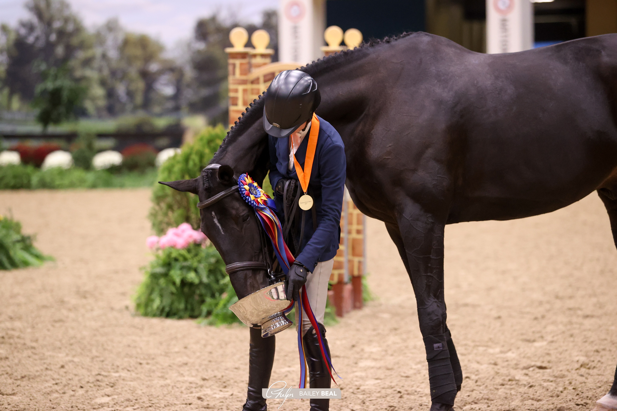 Adult Amateur Equitation Divisions Presented by Cindi Perez and Anne ...