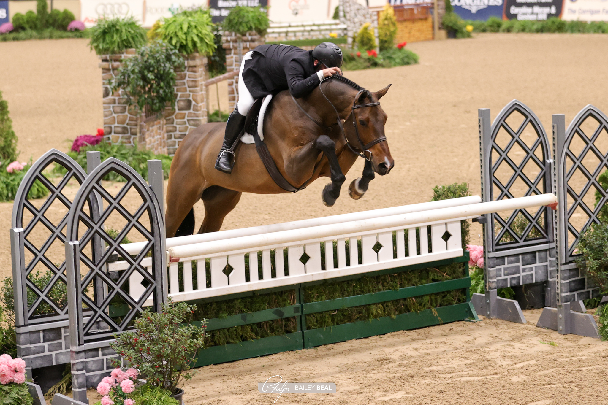Small Love and Augusta Iwasaki take home $50,000 National Horse Show ...