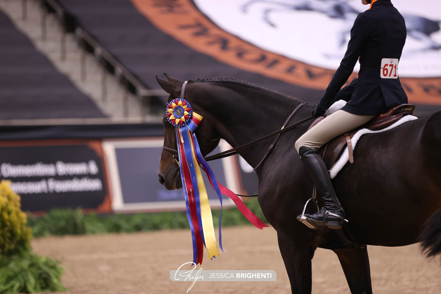 Area Championships - National Horse Show