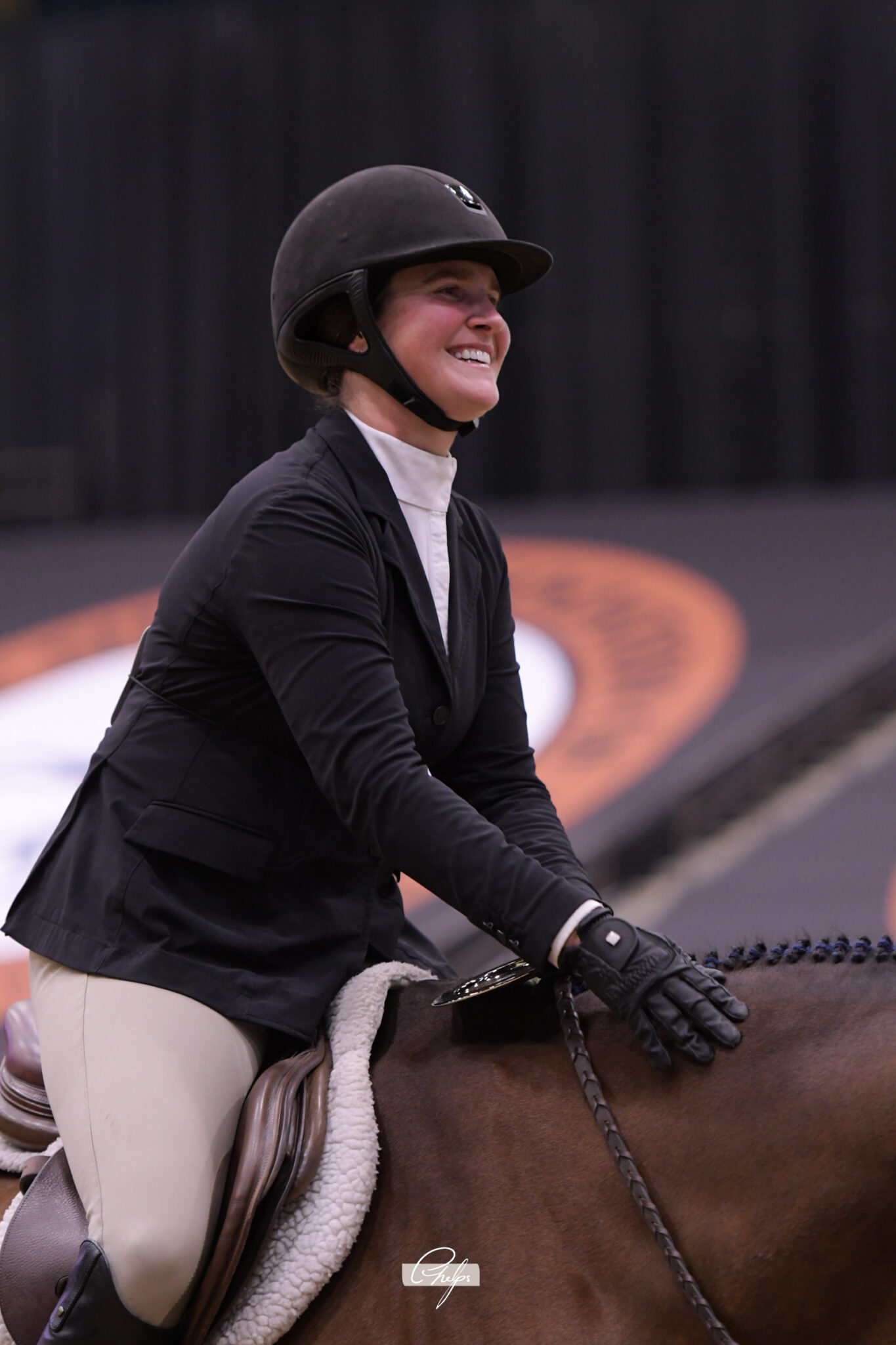 First Four Champions of the 140th National Horse Show Crowned ...