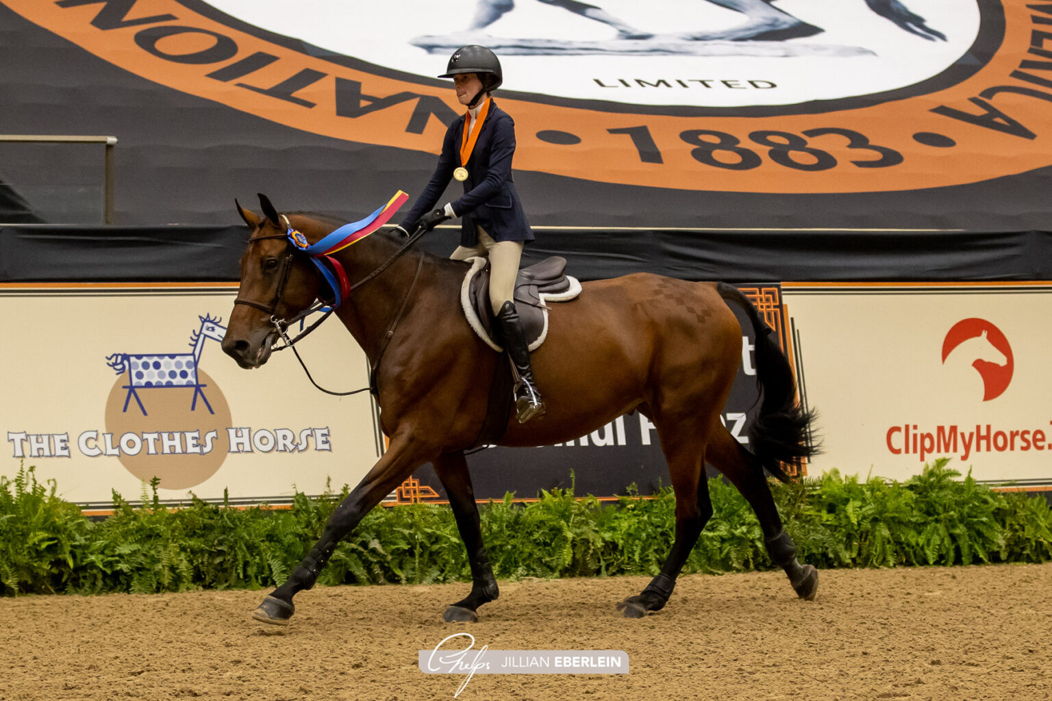 Maggie King Takes The Win in The Hamel Foundation National Horse Show 3 ...