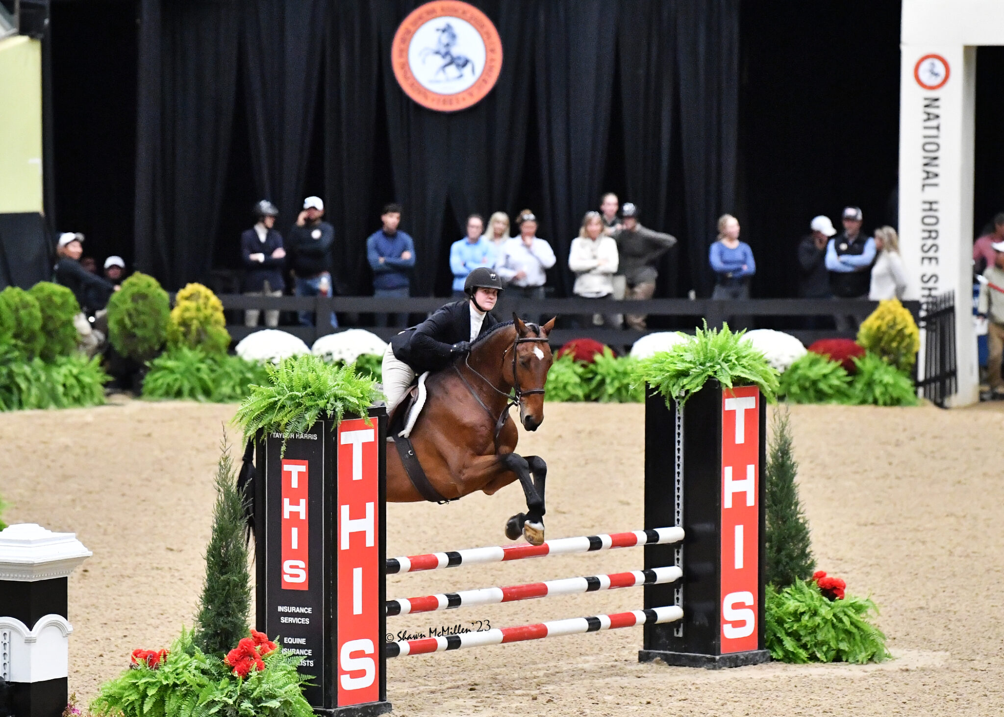 THIS NHS Adult Equitation Championships - National Horse Show