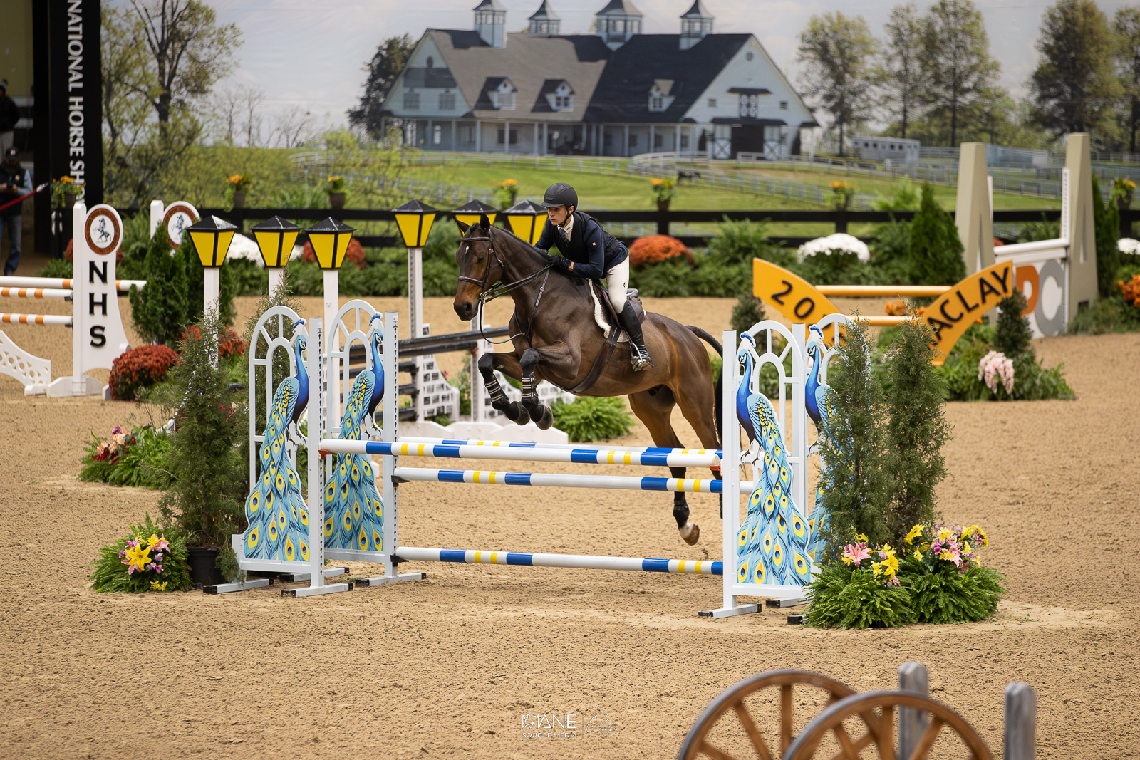 JJ Torano Secures Top Spot 2025 in the ASPCA Maclay National ...