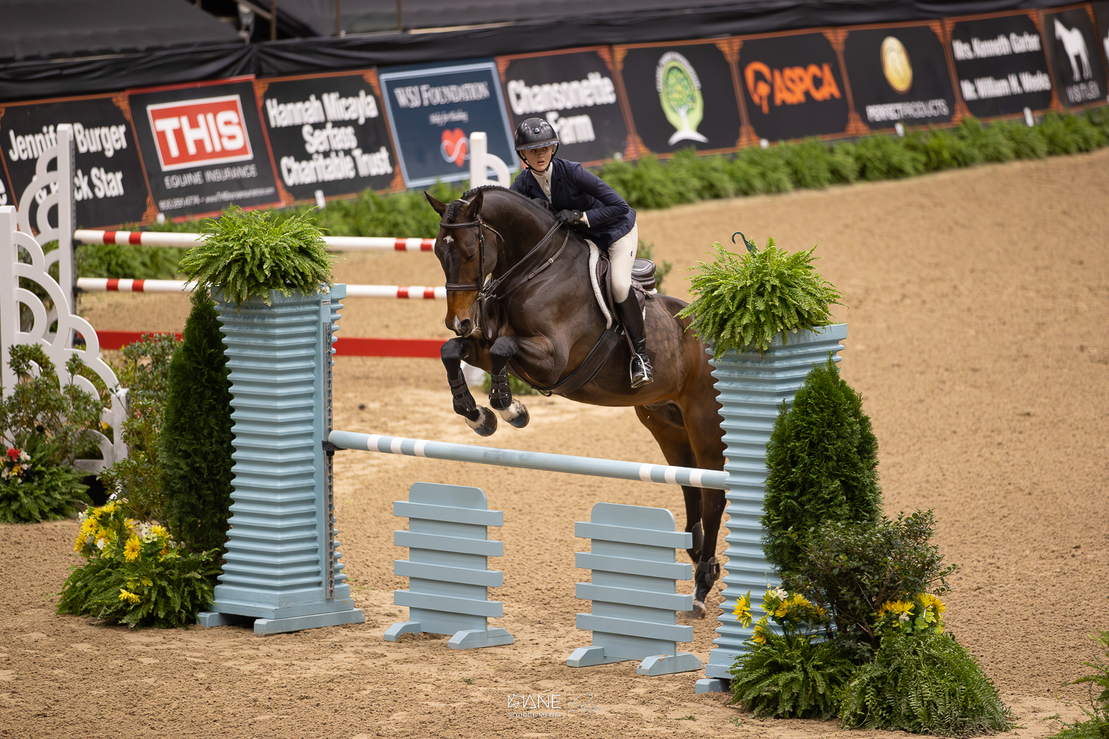 JJ Torano Secures Top Spot 2025 in the ASPCA Maclay National ...